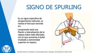 ANATOMIA DE LA COLUMNA universidad santiago | PPT