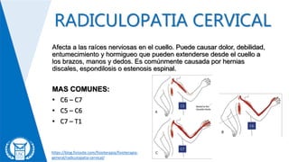 ANATOMIA DE LA COLUMNA universidad santiago | PPTX