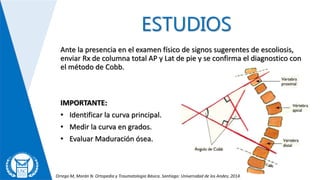 ANATOMIA DE LA COLUMNA universidad santiago | PPTX