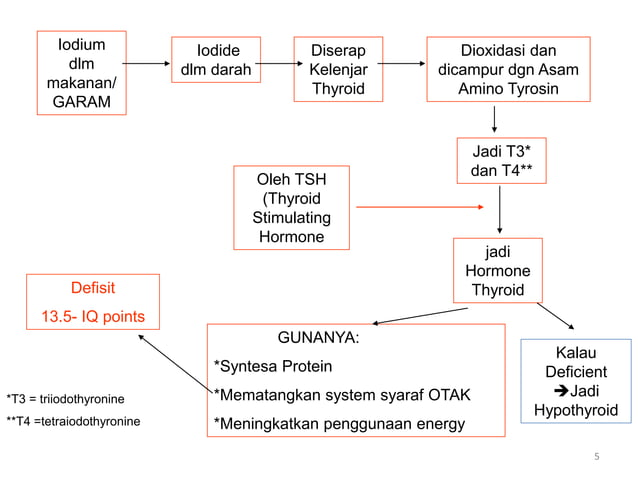 1. Pemantauan_Gangguan Akibat Kekurangan Yodium.pptx