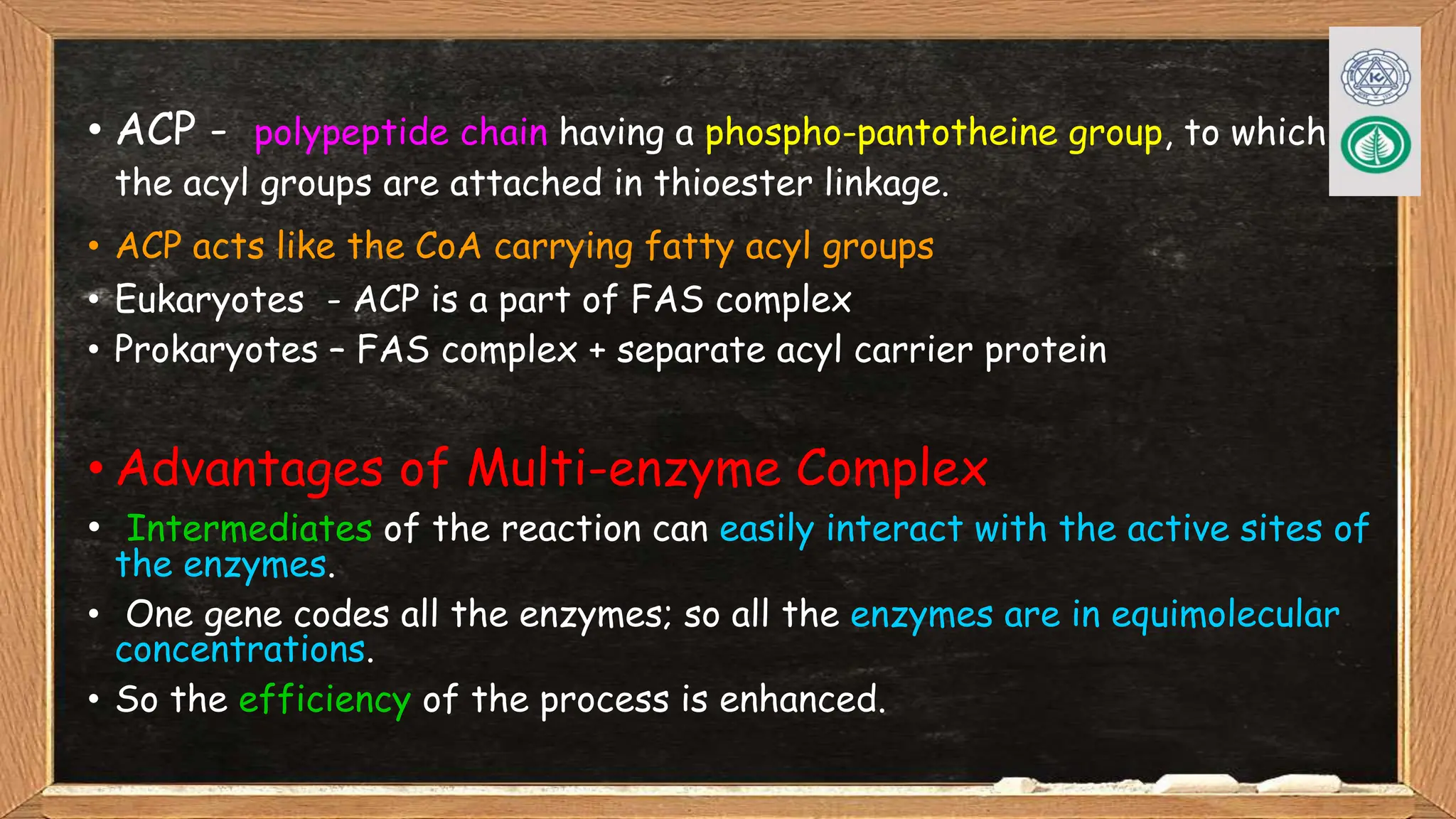 1.FATTY ACID SYNTHESIS FOR MBBS, LABORATORY MEDICINEAND BDS.ppt