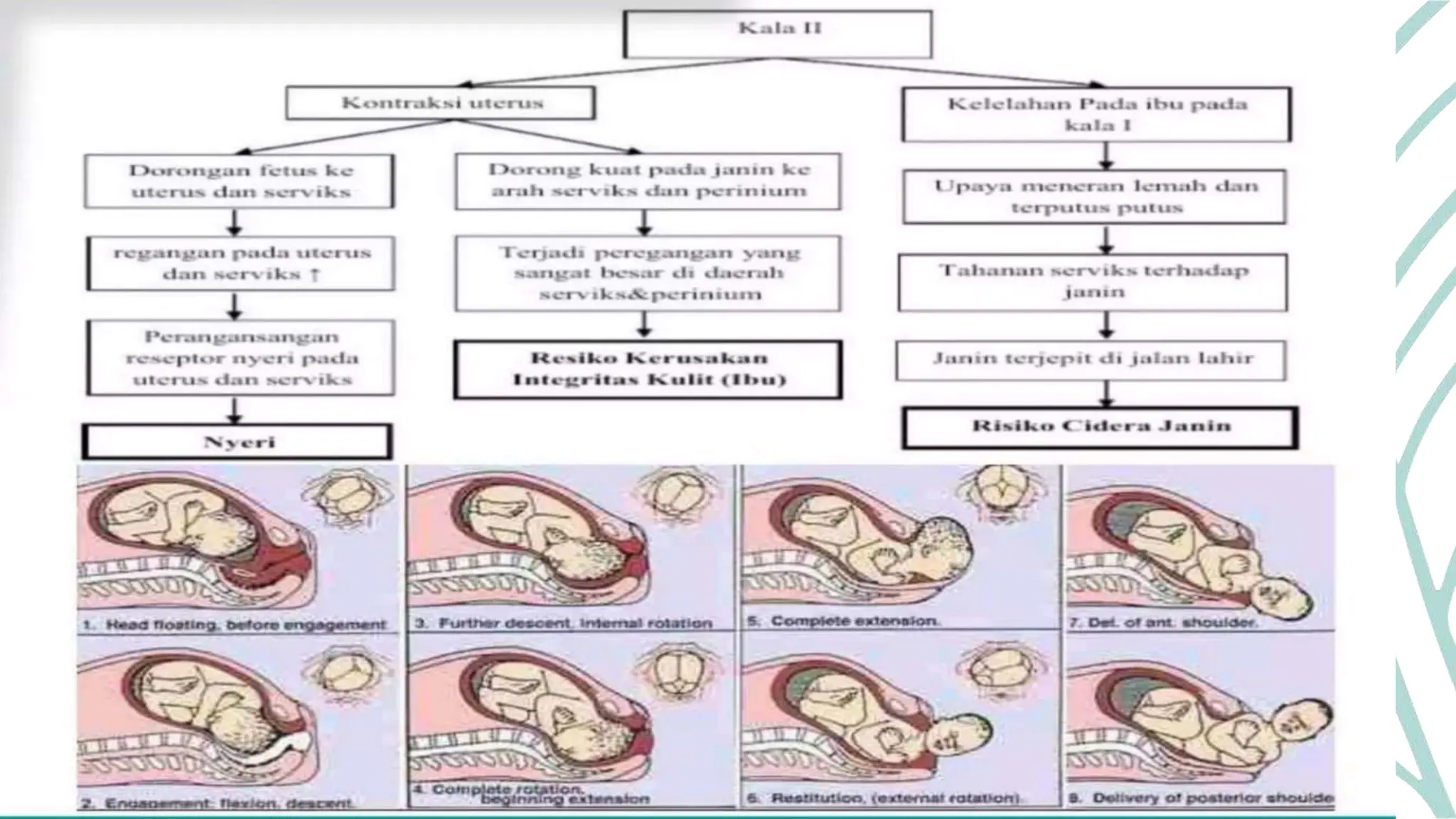 Asuhan kebidanan pada kasus kompleks dengan topik patofisiologi | PPTX