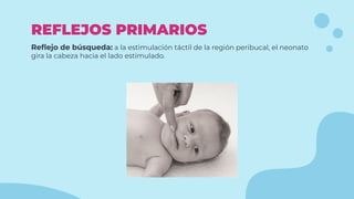 1. RECIEN NACIDO SANO características del recién nacido | PDF