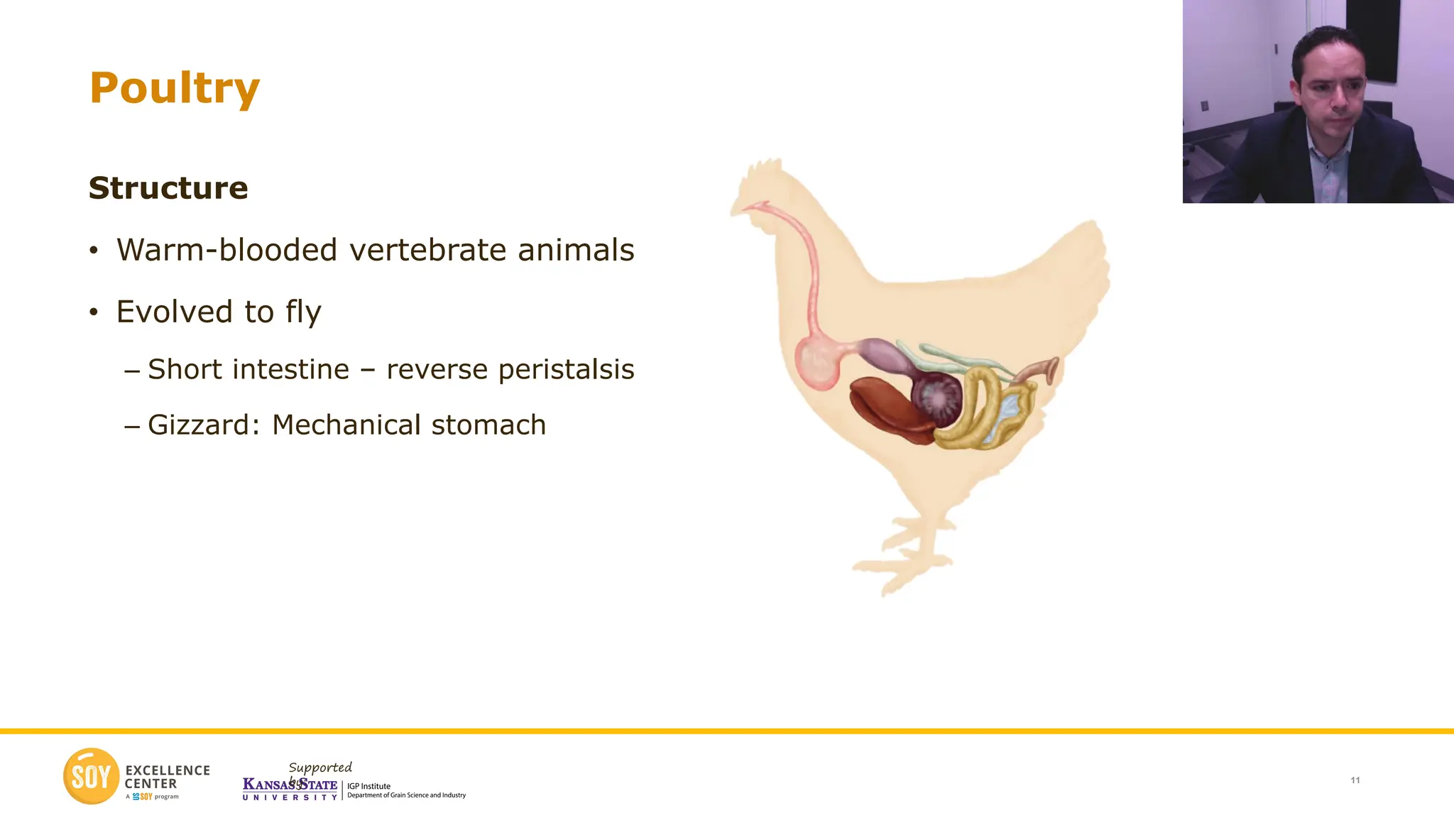 1. Fundamentals of poultry production Updated.pdf