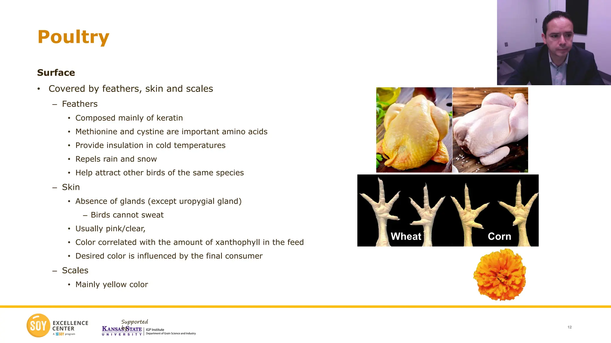 1. Fundamentals of poultry production Updated.pdf