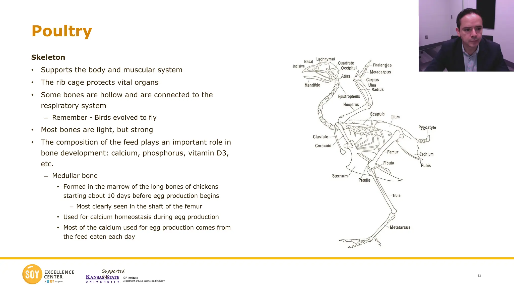 1. Fundamentals of poultry production Updated.pdf