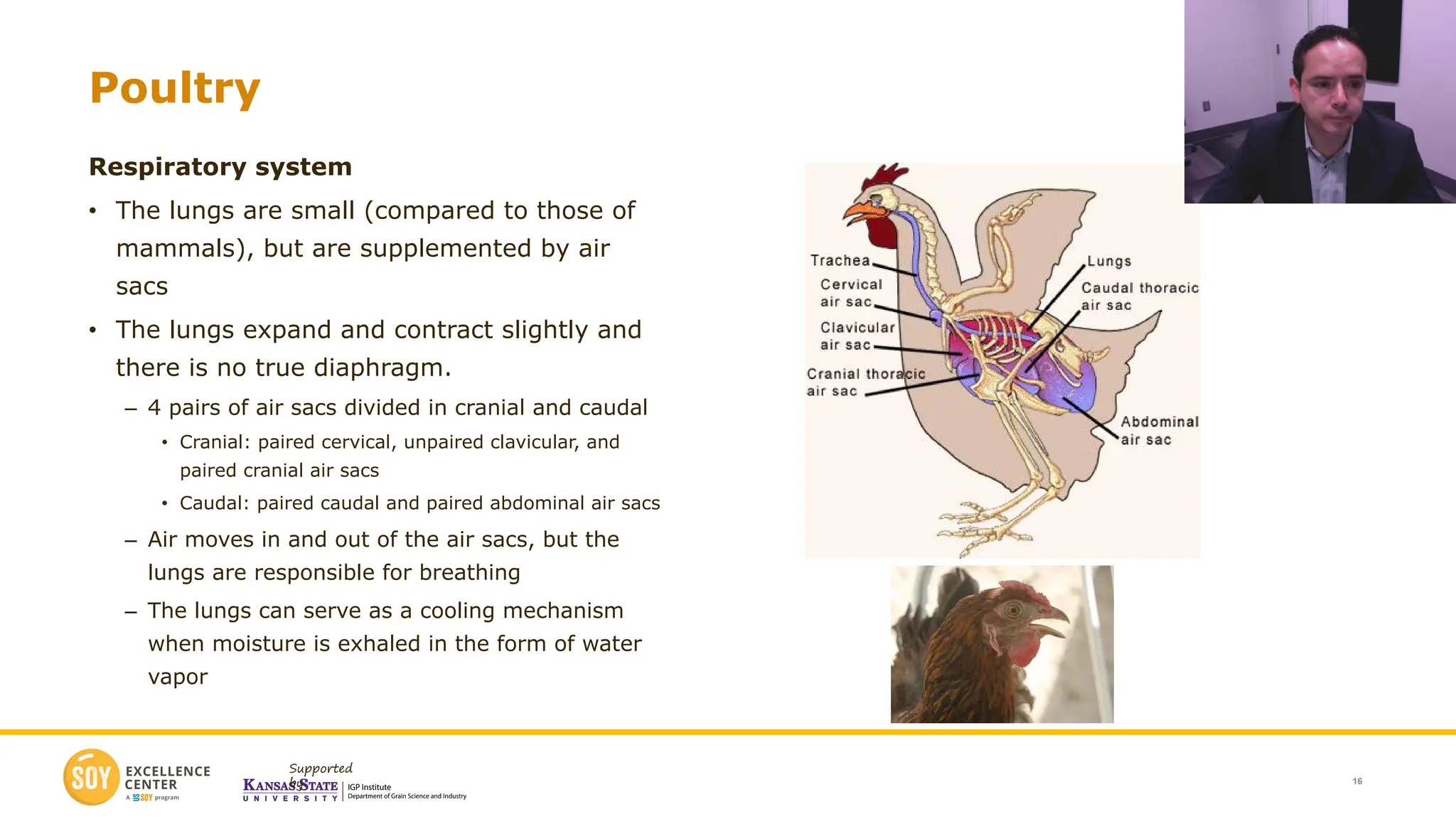 1. Fundamentals of poultry production Updated.pdf