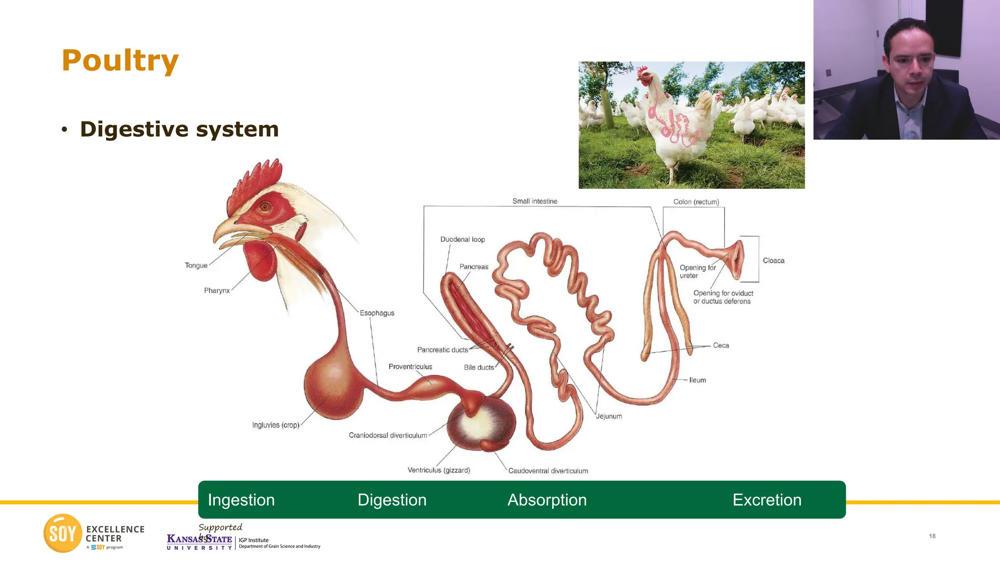 1. Fundamentals of poultry production Updated.pdf