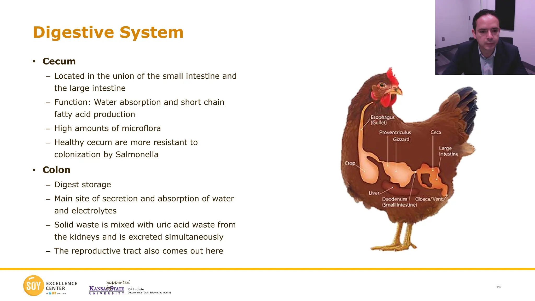 1. Fundamentals of poultry production Updated.pdf