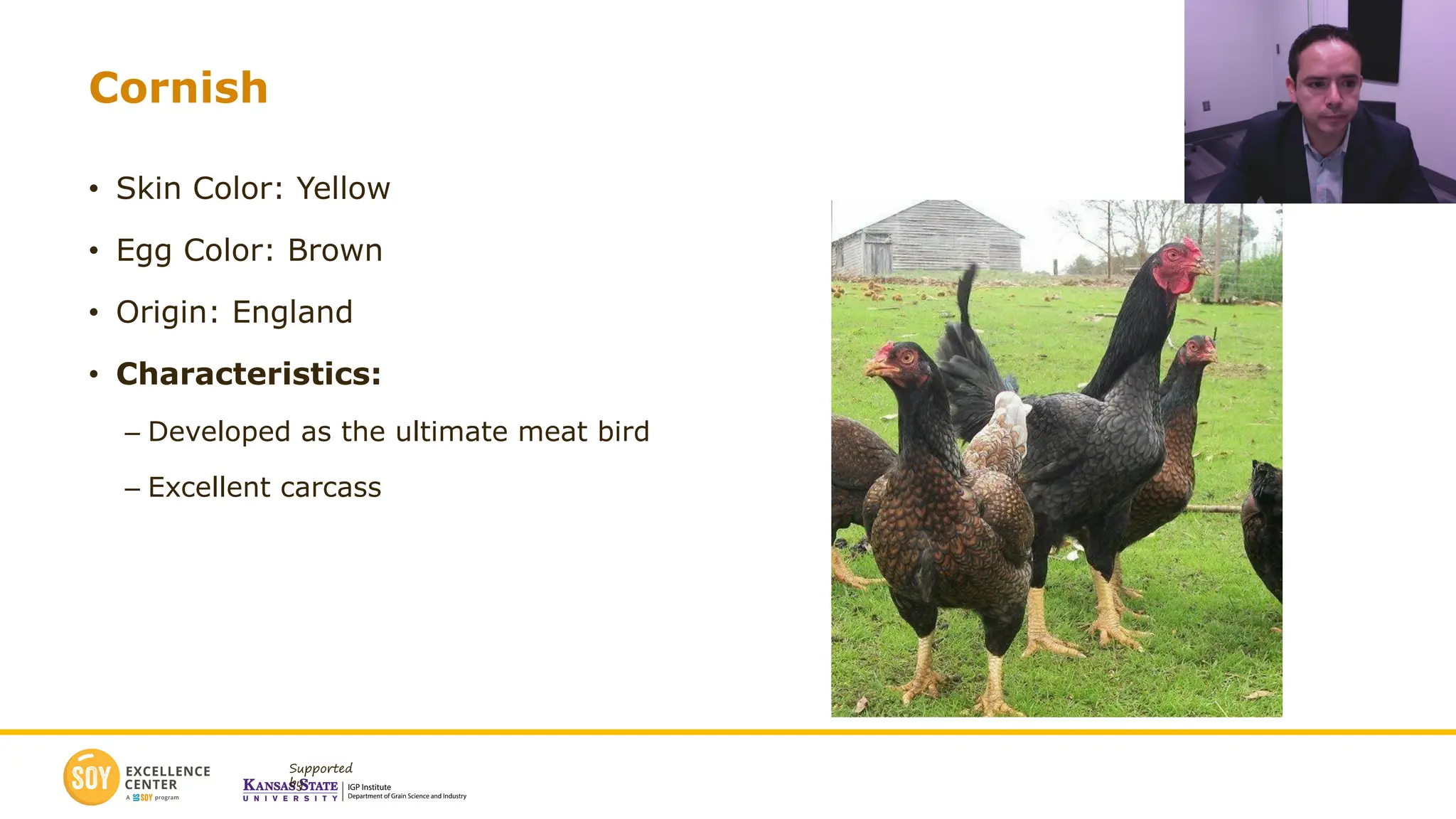 1. Fundamentals of poultry production Updated.pdf