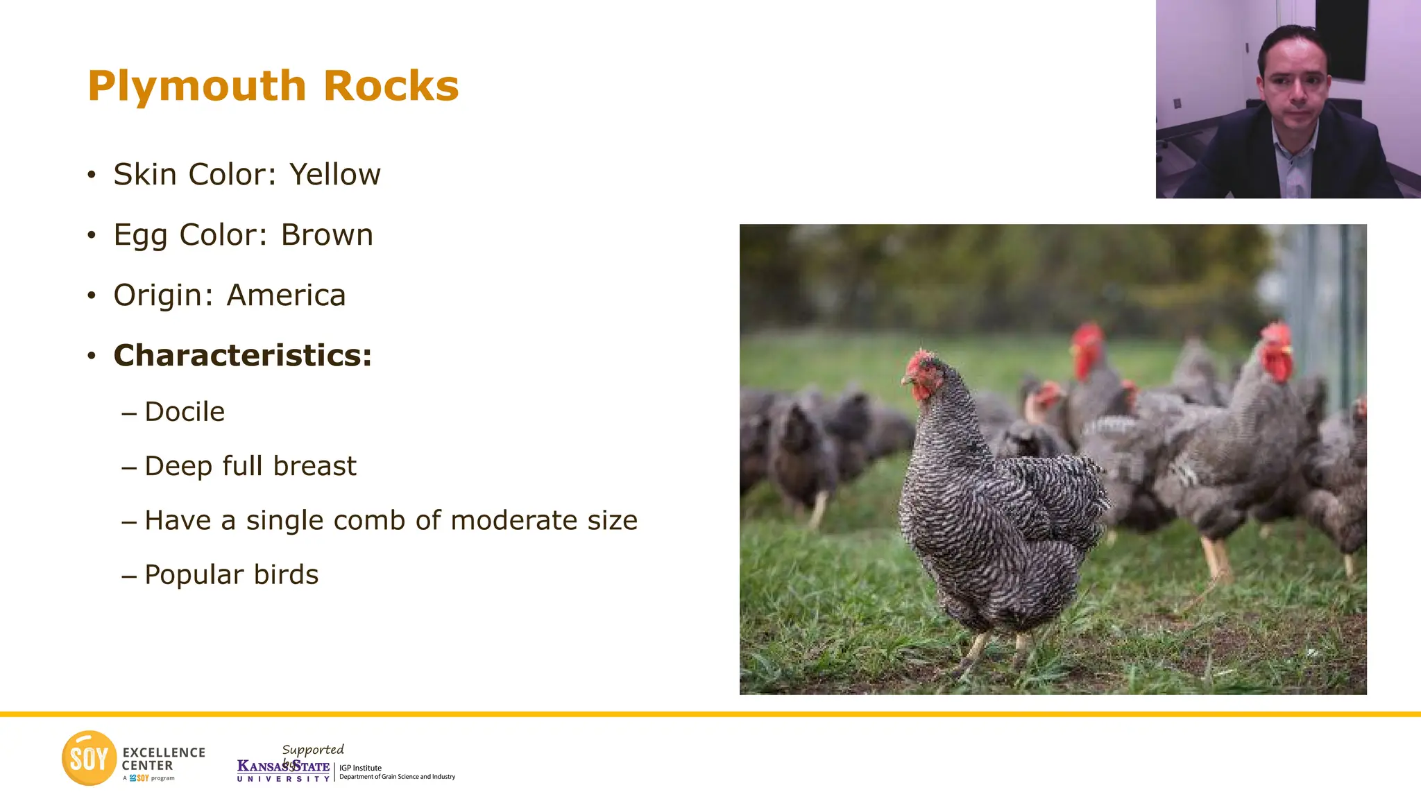 1. Fundamentals of poultry production Updated.pdf