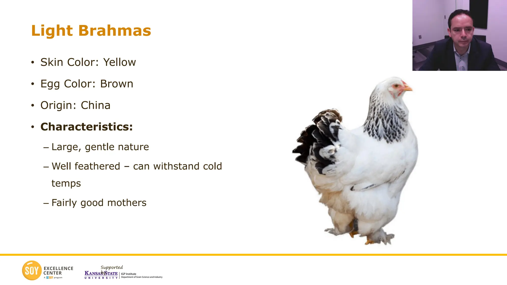 1. Fundamentals of poultry production Updated.pdf