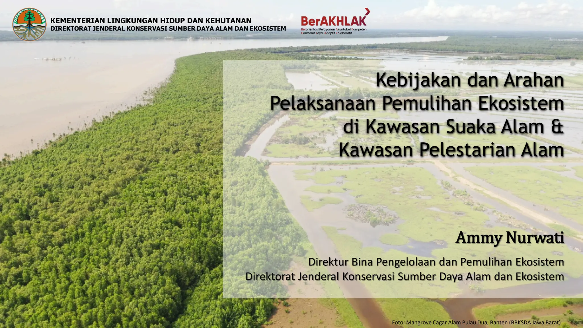1. Direktur BPPE Ammy Nurwati_Kebijakan dan Arahan Pemulihan Ekosistem di KSA dan KPA.pdf