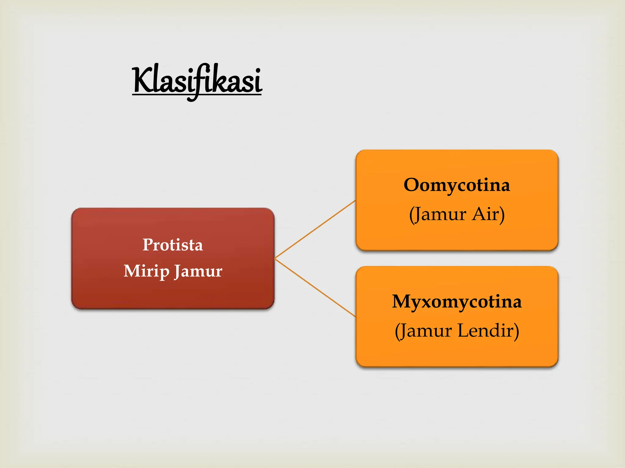 PRESENTASI BIOLOGI TENTANG PROTISTA BIOLOGI KELAS 10 | PPT