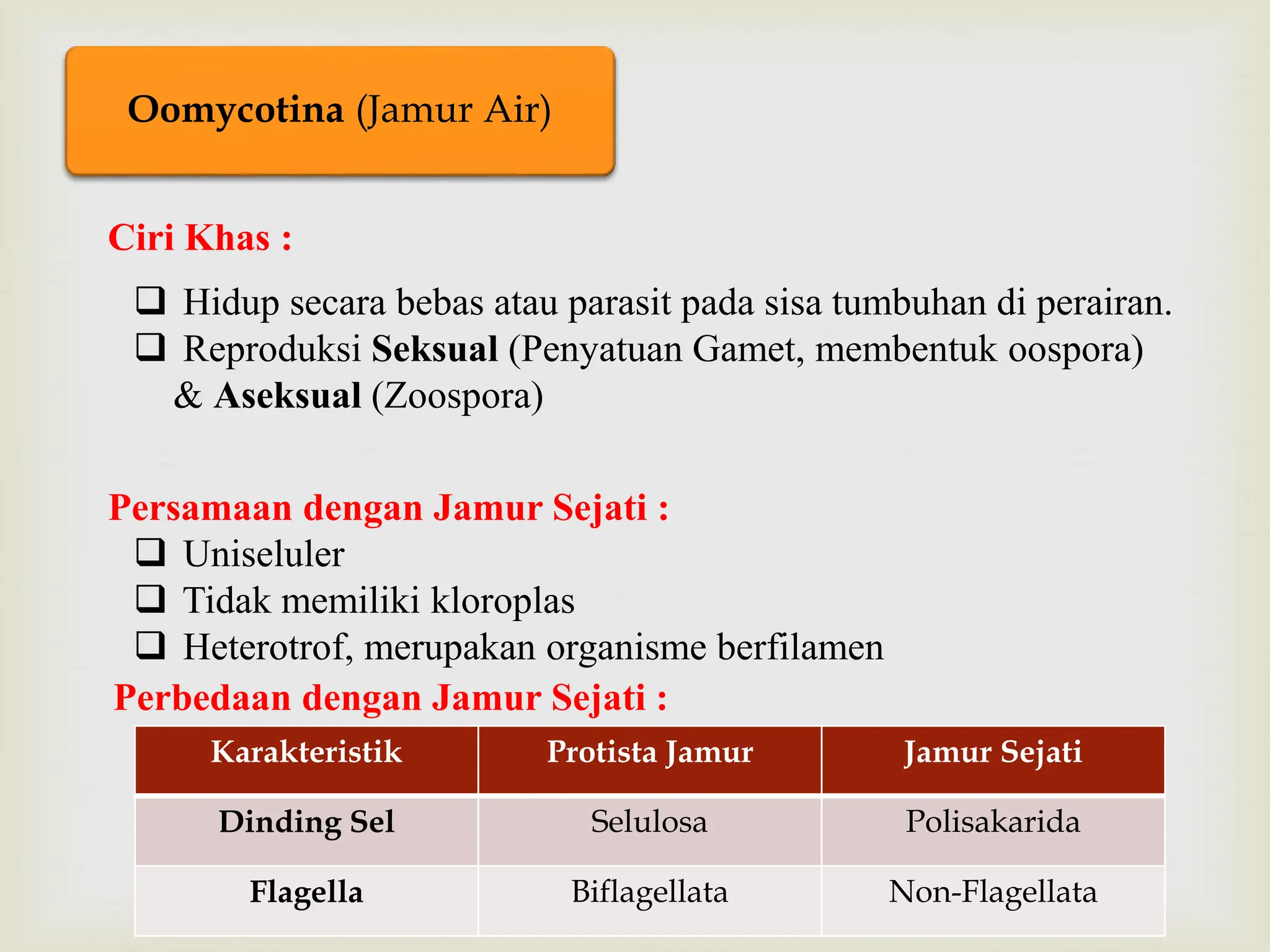 PRESENTASI BIOLOGI TENTANG PROTISTA BIOLOGI KELAS 10 | PPT