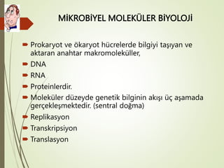 Genel Mikrobiyoloji - moleküler biyoloji | PPTX