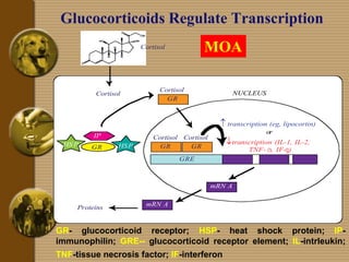 1. Anti-inflammatory drugs.pptx for pharmacy | PPTX