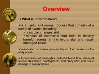 1. Anti-inflammatory drugs.pptx for pharmacy | PPTX