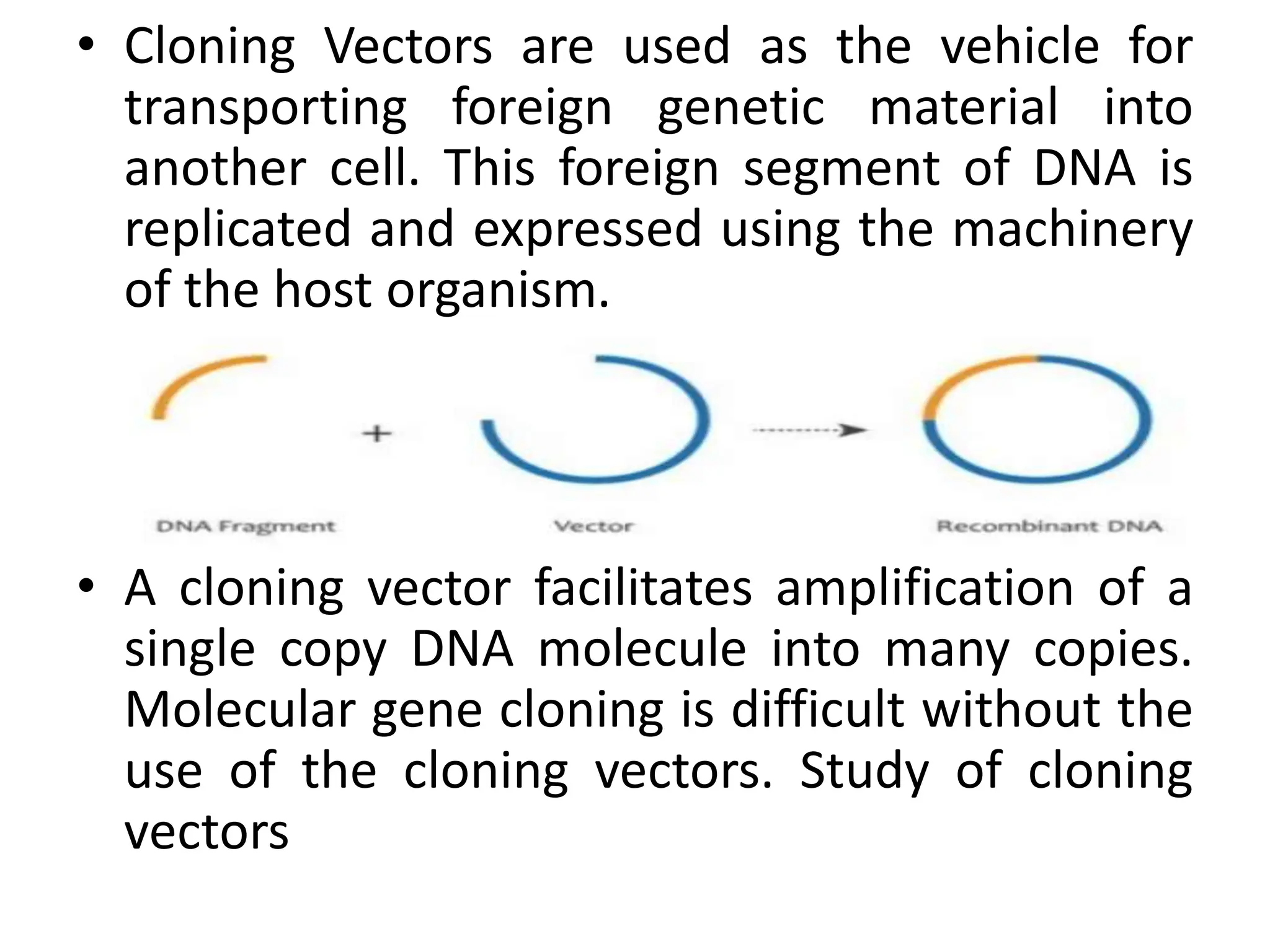 1. Study of cloning vectors, restriction endonucleases and DNA ligase.pptx
