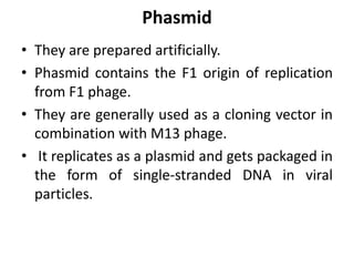 1. Study of cloning vectors, restriction endonucleases and DNA ligase.pptx