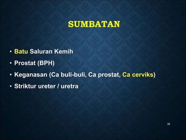1.-Materi-Prof.-Bambang-1.ppt PENYEBAB GAGAL GINJAL AKUT | PPT