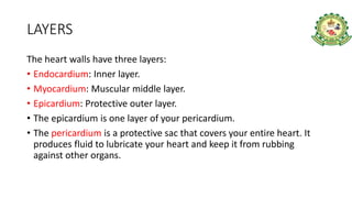 Heart cardiovascular system and its components | PPTX