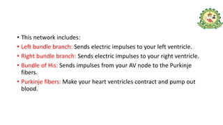 Heart cardiovascular system and its components | PPT