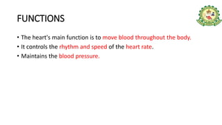 Heart cardiovascular system and its components | PPT