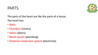 Heart cardiovascular system and its components | PPT