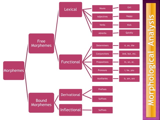 1. Morphology in LINGUISTICS TREE.pptxafafaf | PPT