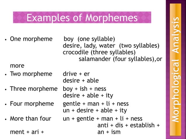 1. Morphology in LINGUISTICS TREE.pptxafafaf | PPT