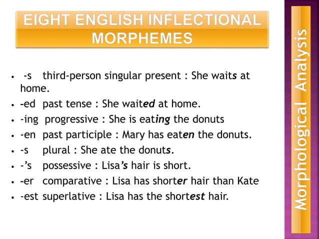 1. Morphology in LINGUISTICS TREE.pptxafafaf | PPT