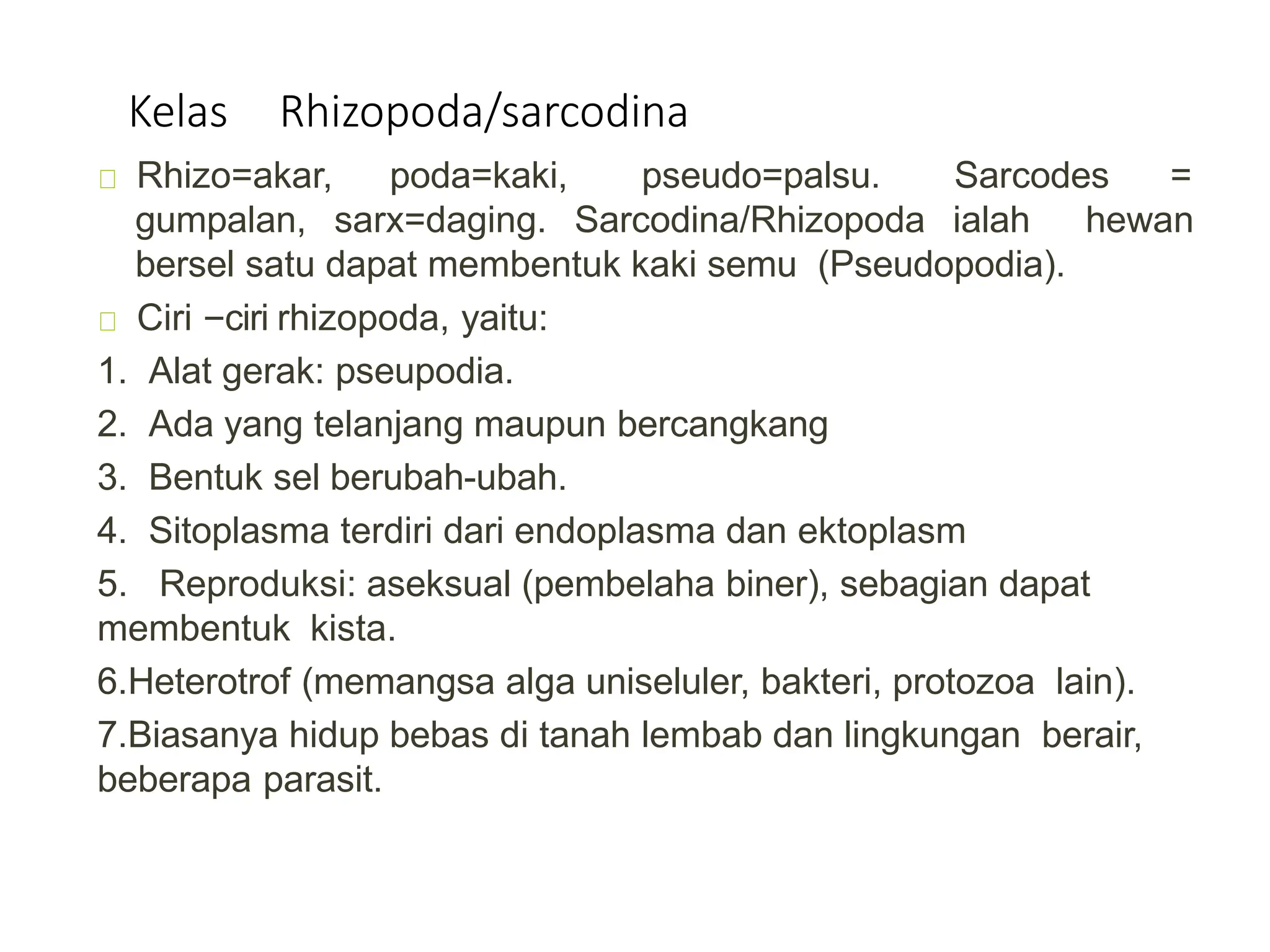 Avertebrata Air - Protozoa Avertebrata 1 | PPTX