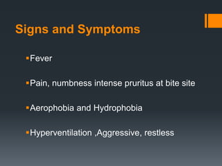 1.RABIES Awareness Presentaion powerpoint | PPTX