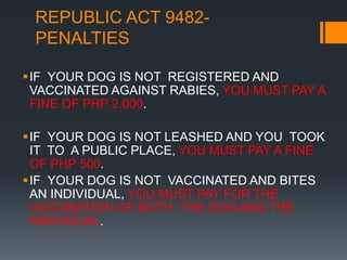 1.RABIES Awareness Presentaion powerpoint | PPTX