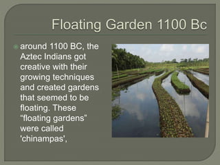 1. Introduction to hydroponics history and evolution .pptx