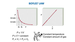 GAS LAWS AND GENERAL GAS EQUATION (CHARLES, BOYLES AND AVOGADRO) | PPTX