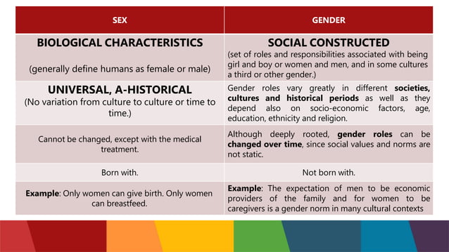 1. Gender and society introduction mod 1 | PPTX