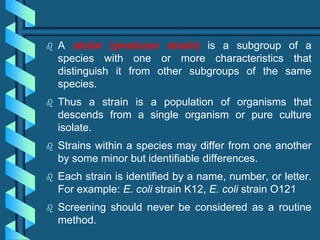 Environmental Microbiology - Screening of Producer strain | PPTX