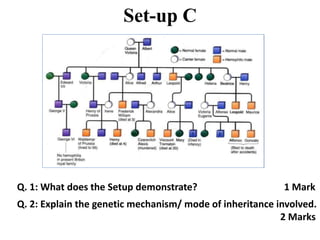 Genetics Spotting Exam 2022 for botany.pptx