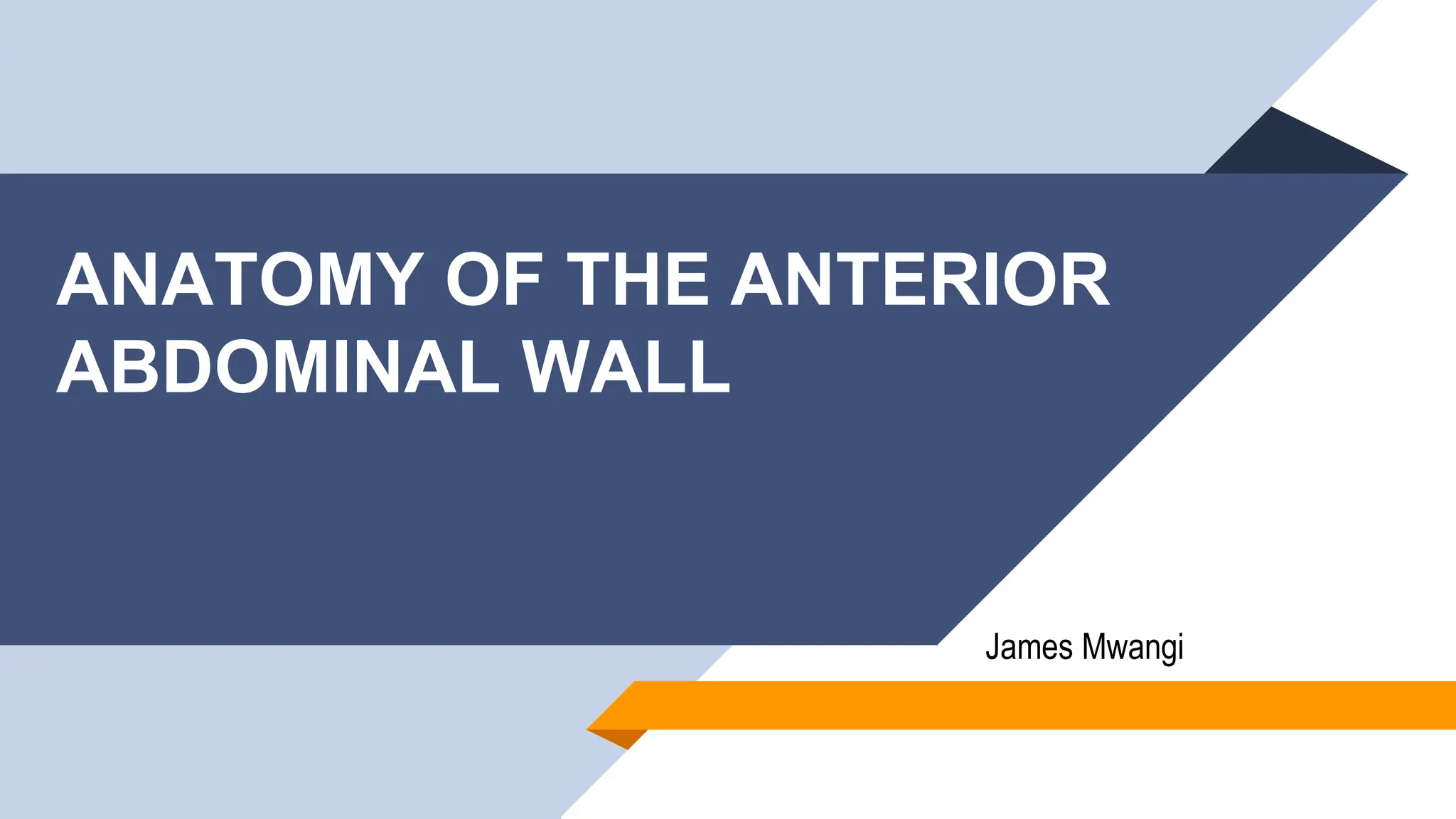 1. Anterior abdominal Wall clear description | PPT