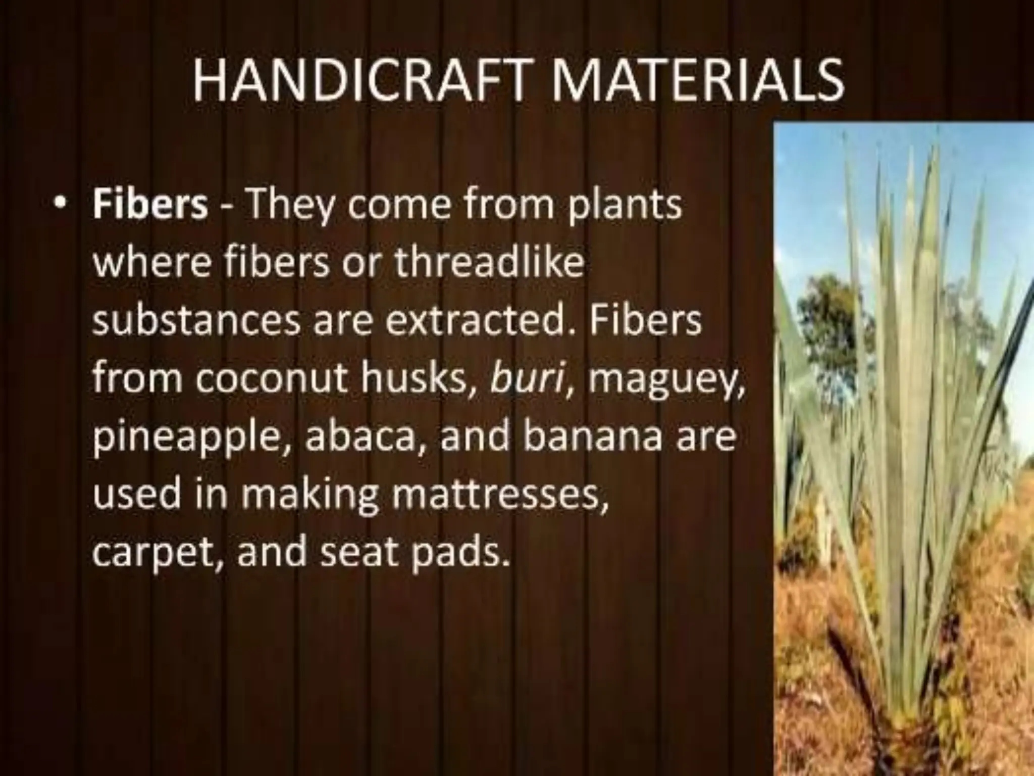 Introduction to Handicraft. NEEDLECRAFT/ FASHION ACCESSORIESpptx | PPTX