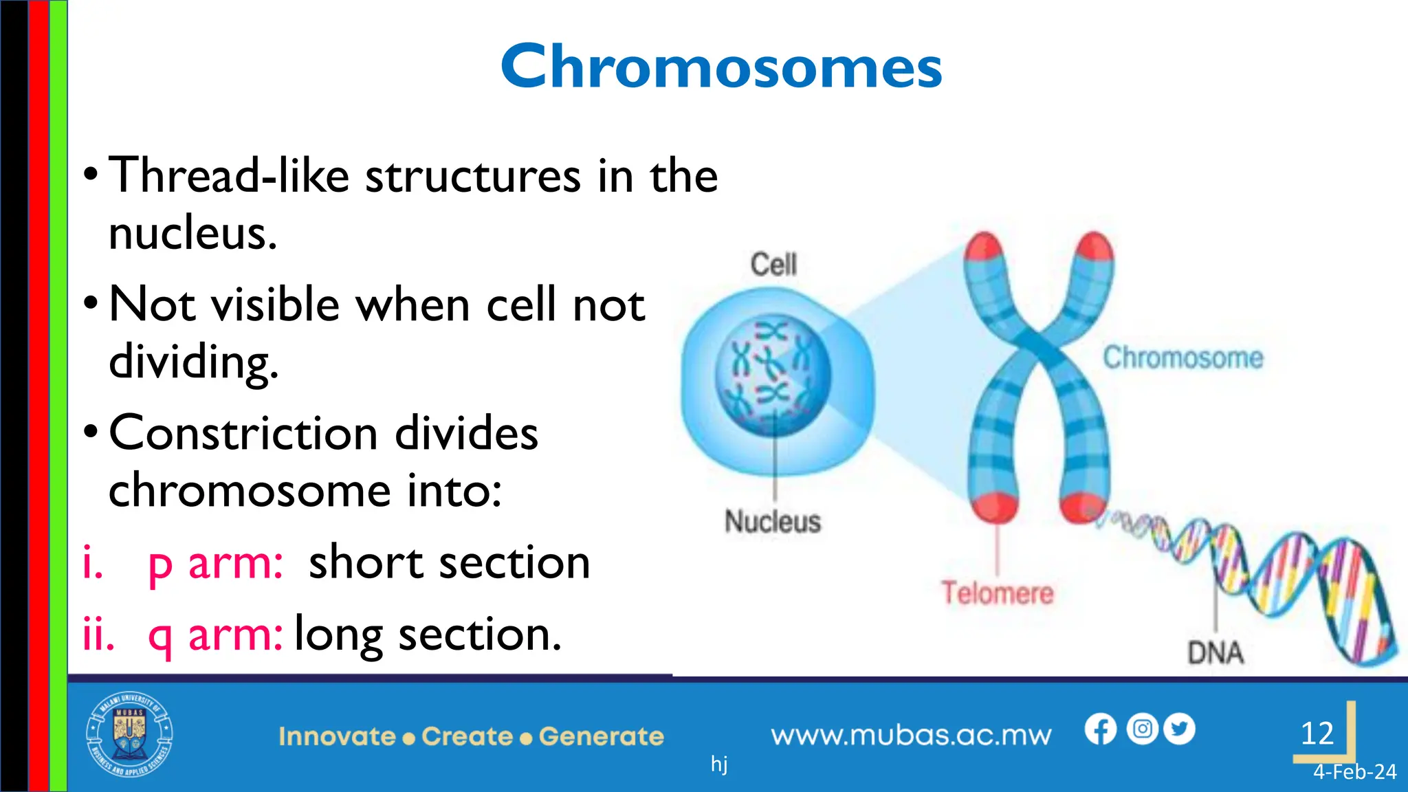 1. Prokaryotic and Eukaryotic Cells ppt.pdf