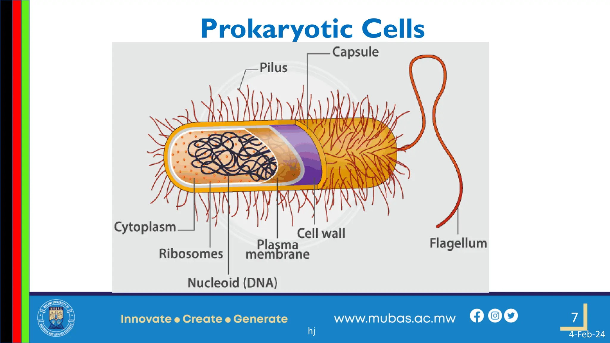 1. Prokaryotic and Eukaryotic Cells ppt.pdf