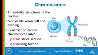 1. Prokaryotic and Eukaryotic Cells ppt.pdf