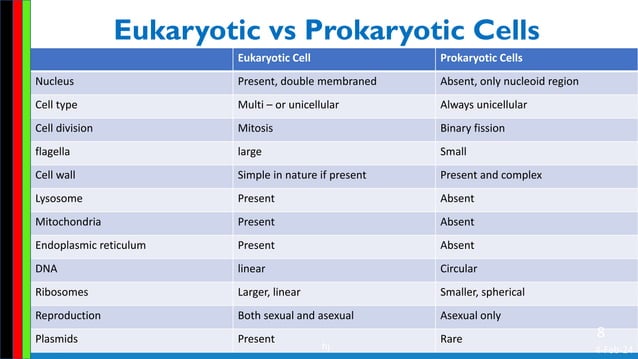 1. Prokaryotic and Eukaryotic Cells ppt.pdf