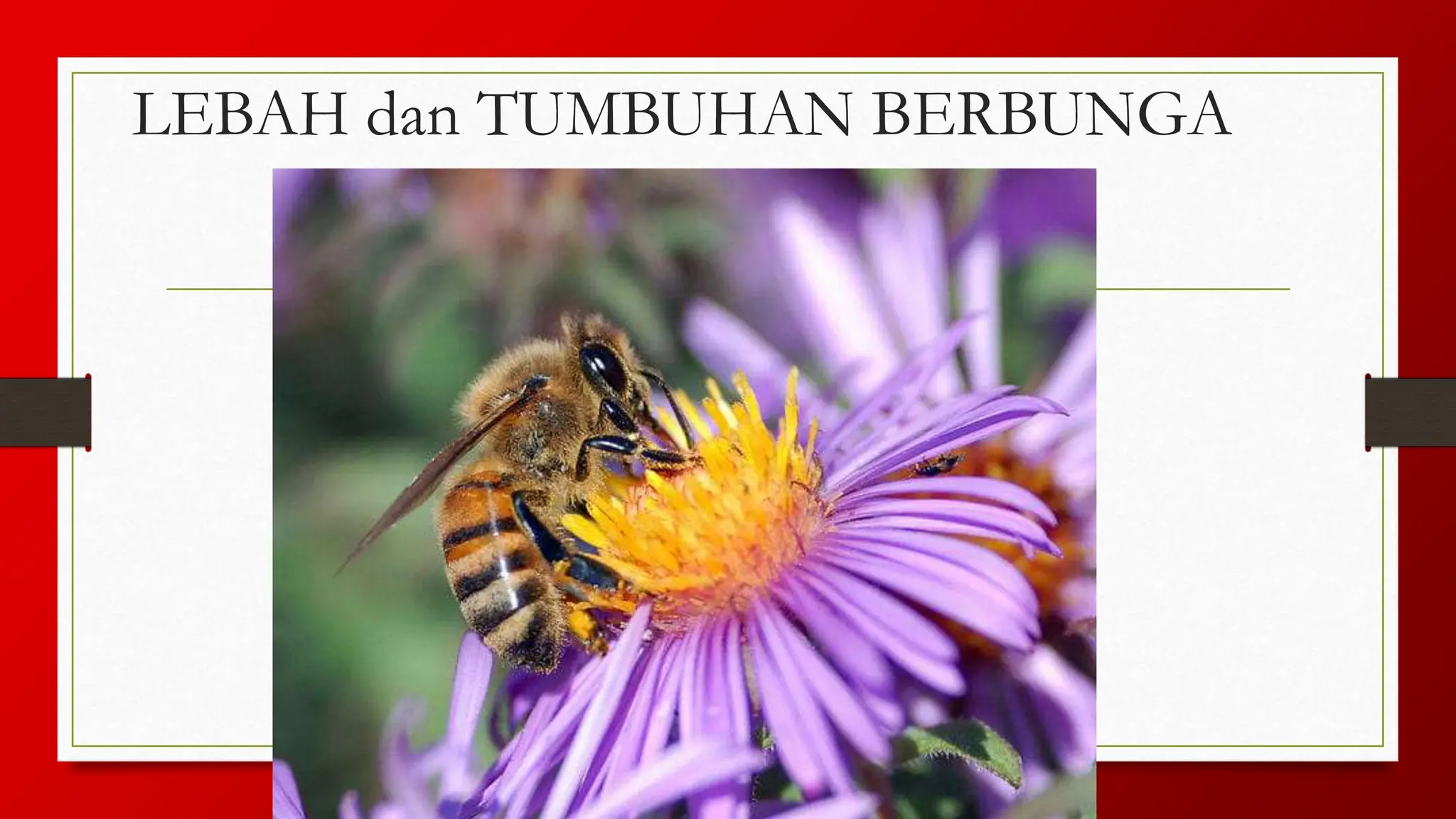 1 Powerpoint Presentation Bab 2 Sains Form 2 Pptx