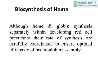 Heme synthesis for medical And Nursing studentspptx | PPTX