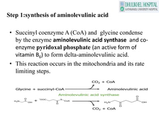 Heme synthesis for medical And Nursing studentspptx | PPTX