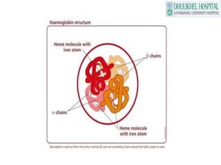 Heme synthesis for medical And Nursing studentspptx | PPTX